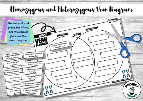 Genetics Homozygous and Heterozygous Venn Diagram | Teaching Resources