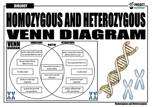 Genetics Homozygous and Heterozygous Venn Diagram | Teaching Resources