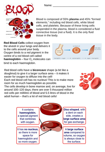 The structure and functions of blood | Teaching Resources