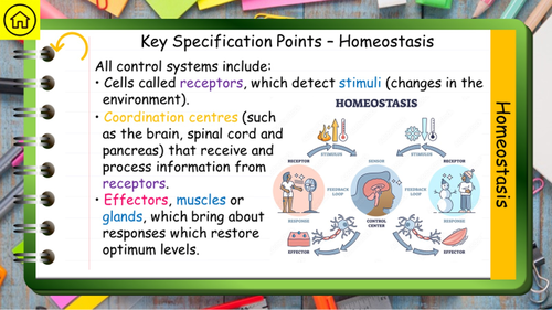 B5 Homeostasis & Response AQA GCSE Science Biology Revision 9-1 ...