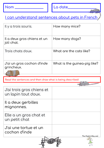 French pet descriptions | Teaching Resources