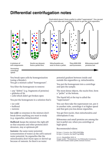 Differential Cell Centrifugation Notes A Level Biology Teaching Resources