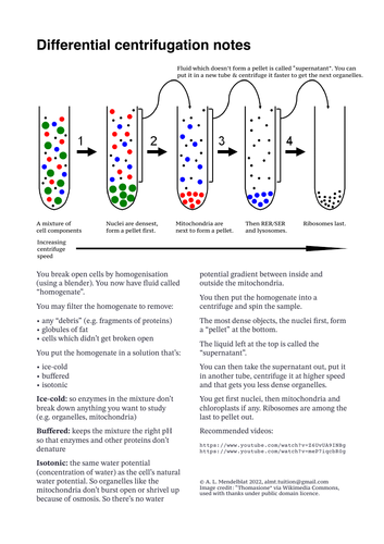 Differential Centrifugation Notes A Level Biology Teaching Resources