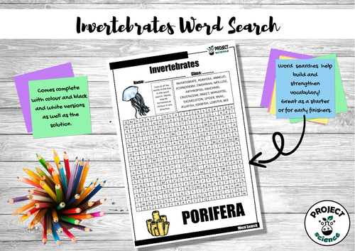 Invertebrates Word Search | Teaching Resources