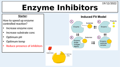 Y12 Enzyme Action, Factors affecting Enzymes, Enzyme Inhibition (3 ...