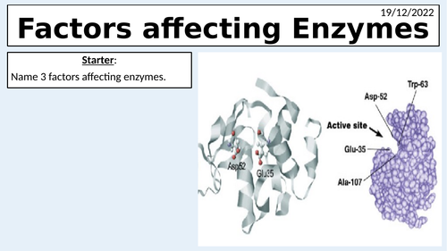 Y12 Enzyme Action, Factors affecting Enzymes, Enzyme Inhibition (3 ...