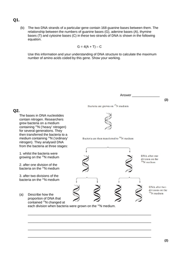 Y12 Structure of DNA & RNA, DNA Replication, Semi-Conservative ...