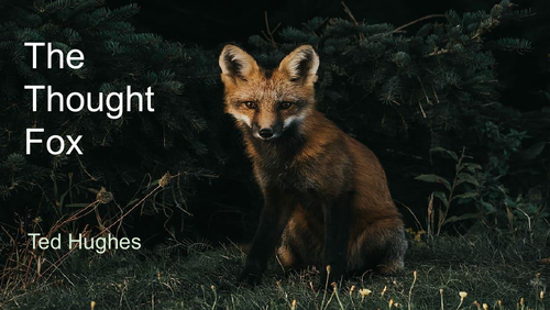 ´The Thought Fox´ Ted Hughes - Lesson PPT and resources. | Teaching ...