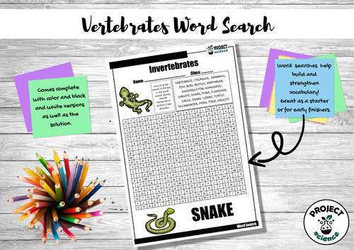 Vertebrates Word Search | Teaching Resources