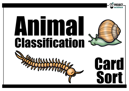 Animal Classification Card Sort [Cut and Paste Activity] | Teaching ...