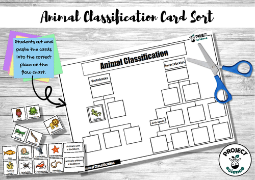 Animal Classification Card Sort [Cut and Paste Activity] | Teaching ...