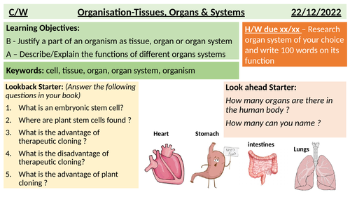 Cells to organ system (organisation) | Teaching Resources