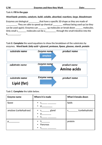 Enzyme active sites GCSE | Teaching Resources