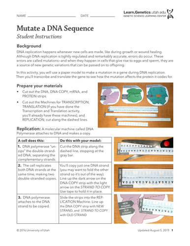 Mutations Edexcel Igcse Teaching Resources