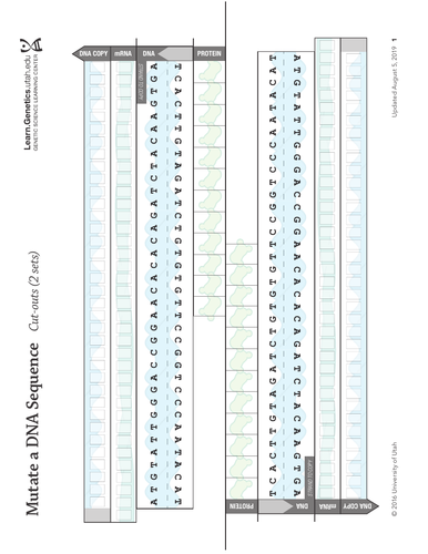 Mutations Edexcel Igcse Teaching Resources