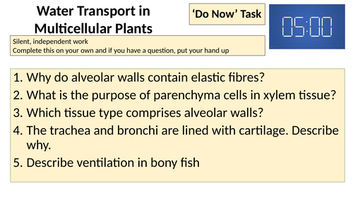 OCR A-level Biology Transport in Plants | Teaching Resources