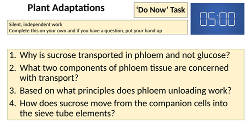 OCR A-level Biology Transport in Plants | Teaching Resources