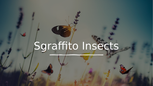 A Simple Sgraffito Pastel activity using insects | Teaching Resources
