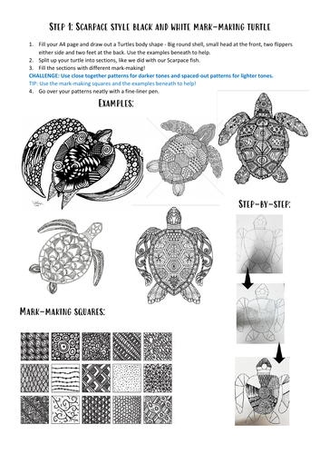 Black and White Patterned Turtle | Teaching Resources