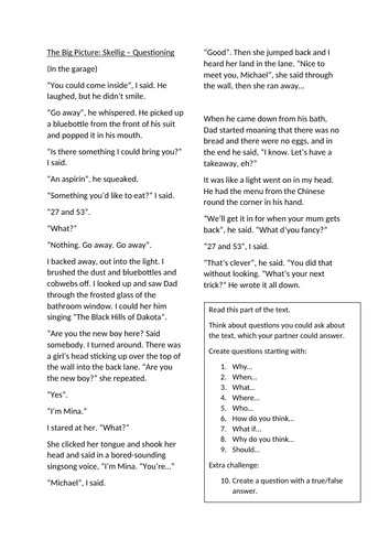 Skellig - Questionning - Guided Reading/ Destination Reader | Teaching ...