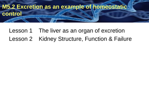 OCR A Level Biology 5.2 Excretion (whole chapter) | Teaching Resources