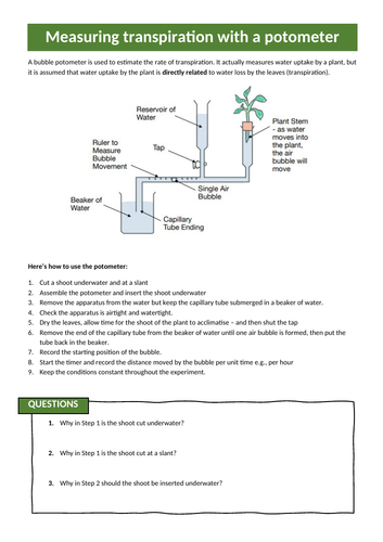 Transport - A complete set of resources for Edexcel IGCSE Biology ...