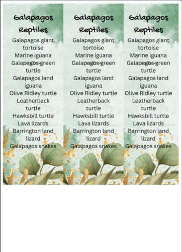 Evolution Classroom Display | Teaching Resources