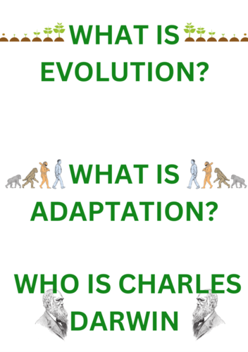 Evolution Classroom Display | Teaching Resources