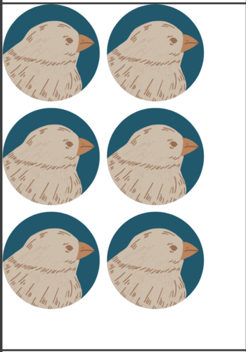 Evolution Classroom Display | Teaching Resources