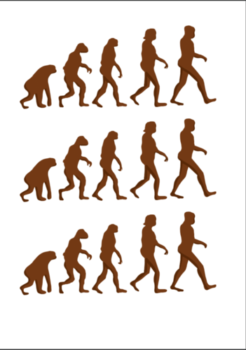 Evolution Classroom Display | Teaching Resources