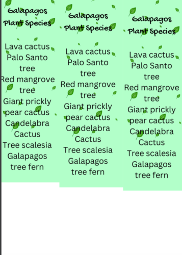 Evolution Classroom Display | Teaching Resources