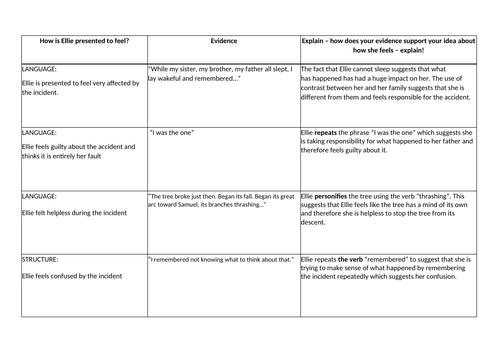 'Echo Mountain' Lauren Wolk | Teaching Resources