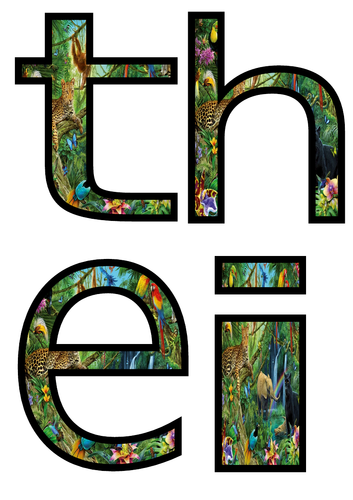 The rainforest letter | Teaching Resources