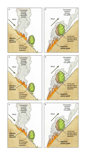 AQA A-level Geography; 3.1.5.6. Fires in Nature Lessons (3-Hour Bundle ...