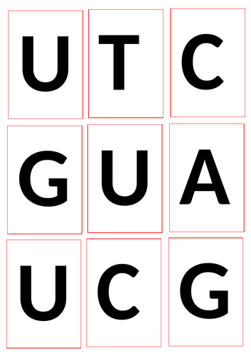 AQA A-level biology: 20.1 Gene mutation | Teaching Resources