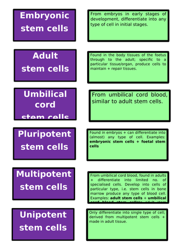 AQA A-level biology: 20.2 Stem cells and totipotency | Teaching Resources