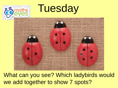 Number 7 EYFS Planning | Teaching Resources