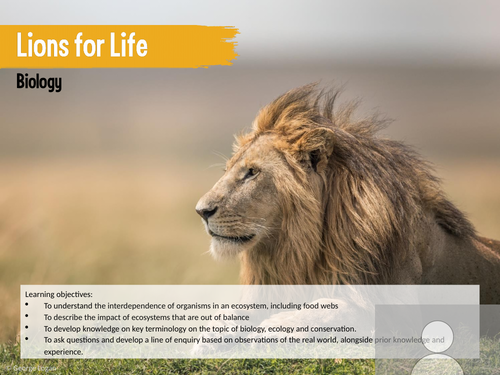 Lions for Life - Biology | Teaching Resources