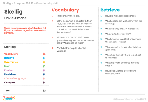 Reading Skills - Skellig - Chapters 11 & 12 | Teaching Resources