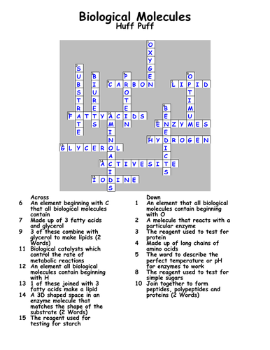 Biological molecules crossword | Teaching Resources