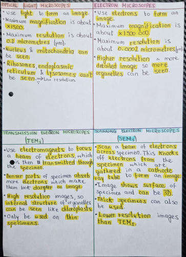 GCSE/A-Level Guide: In-Depth Summary and Comparison of Microscopes ...