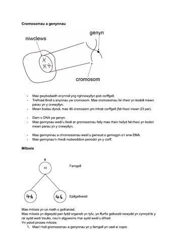 Bioleg TGAU CBAC Uned 2.1 a 2.2- Dosbarthiad ac Bioamrywiaeth ...