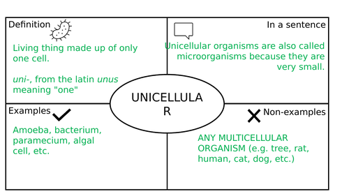 Science Frayer Models | Teaching Resources