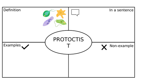 Science Frayer Models | Teaching Resources