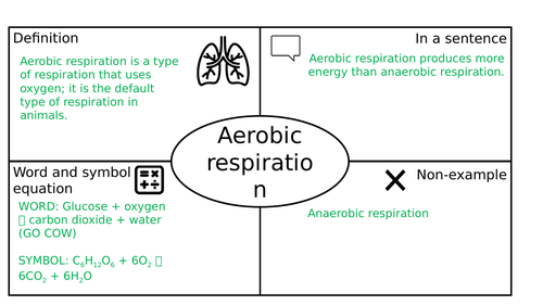 Science Frayer Models | Teaching Resources