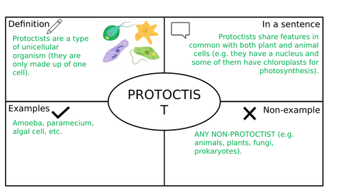 Science Frayer Models | Teaching Resources
