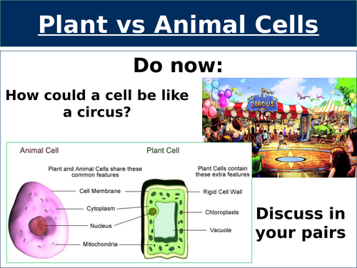 Cells to Organisms KS3 Whole topic lessons (middle school) | Teaching ...