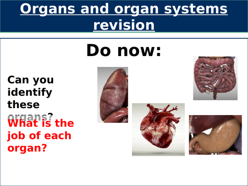 Cells to Organisms KS3 Whole topic lessons (middle school) | Teaching ...