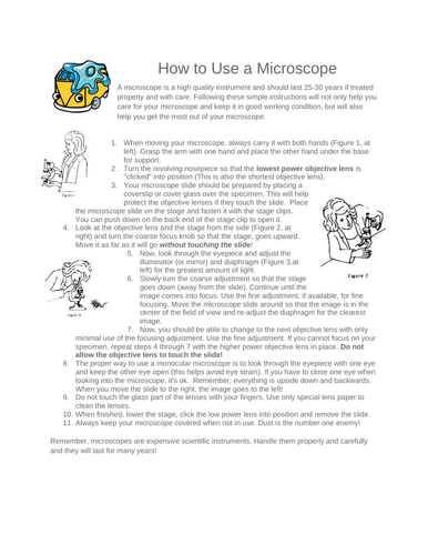 Cells to Organisms KS3 Whole topic lessons (middle school) | Teaching ...