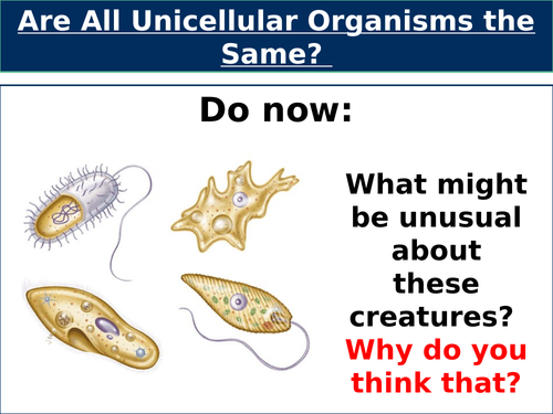 Cells to Organisms KS3 Whole topic lessons (middle school) | Teaching ...